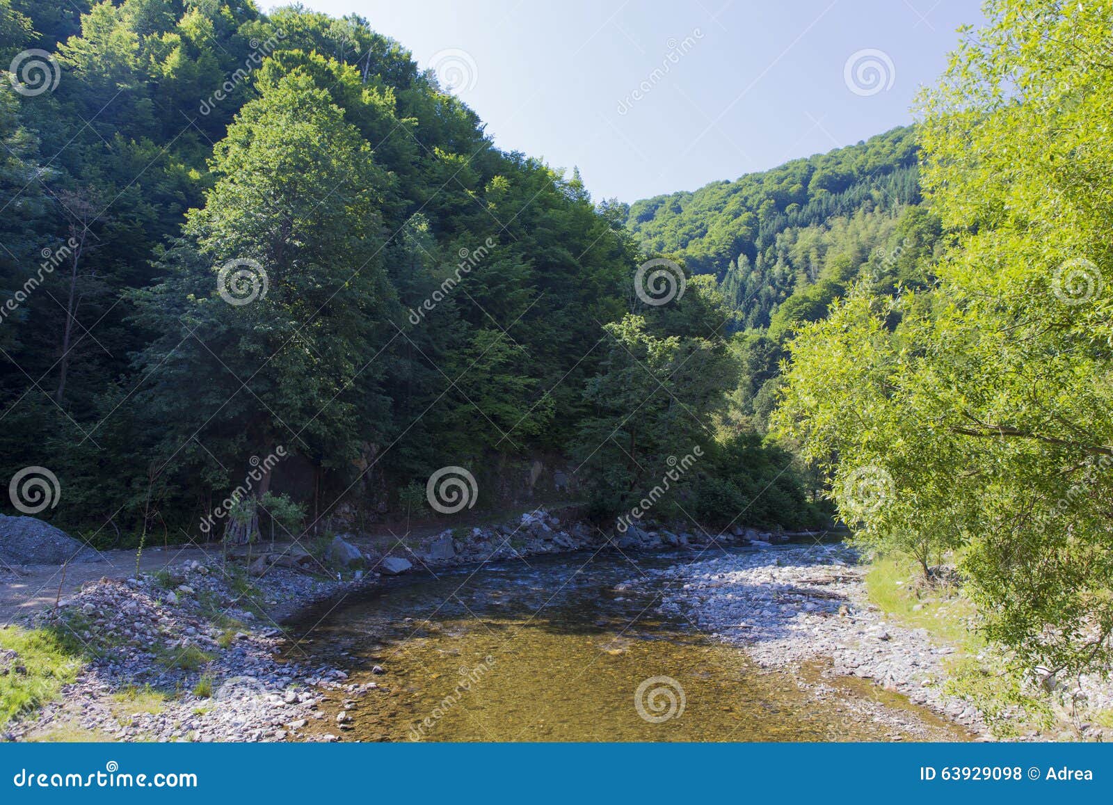 Lotru River and Mountain Forest Stock Photo - Image of summer, hill ...