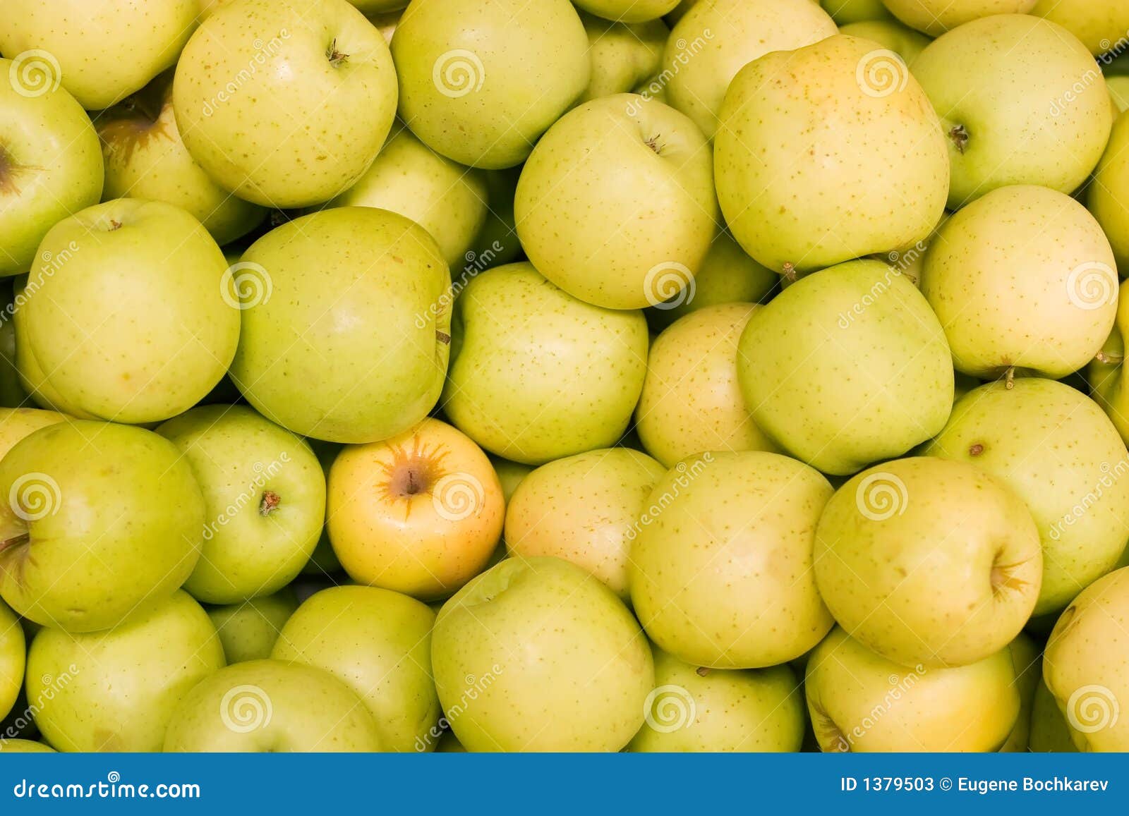 Lots of apples stock image. Image of nutrition, lots, eating - 1379503