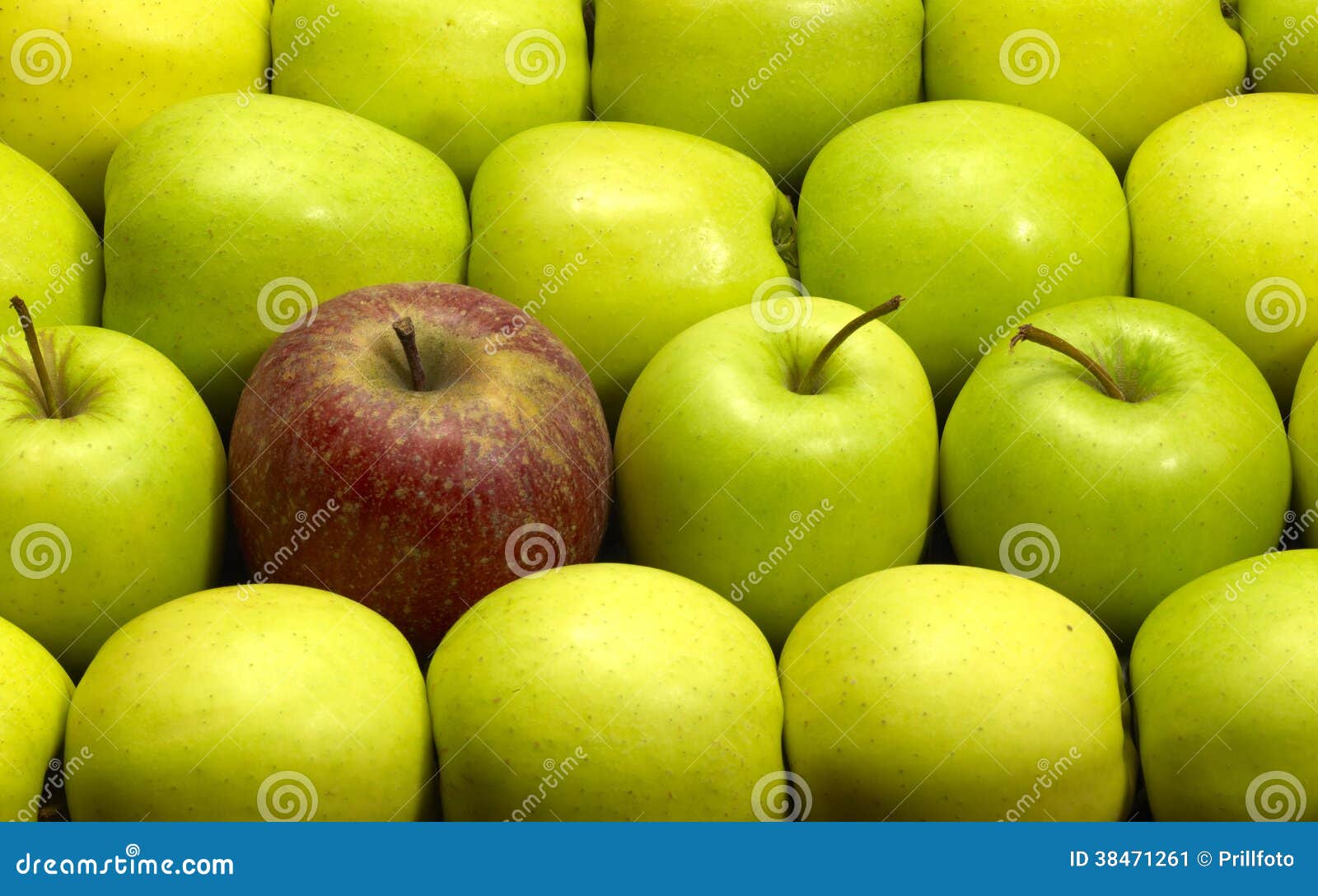 Lots of apples stock image. Image of together, healthy - 38471261