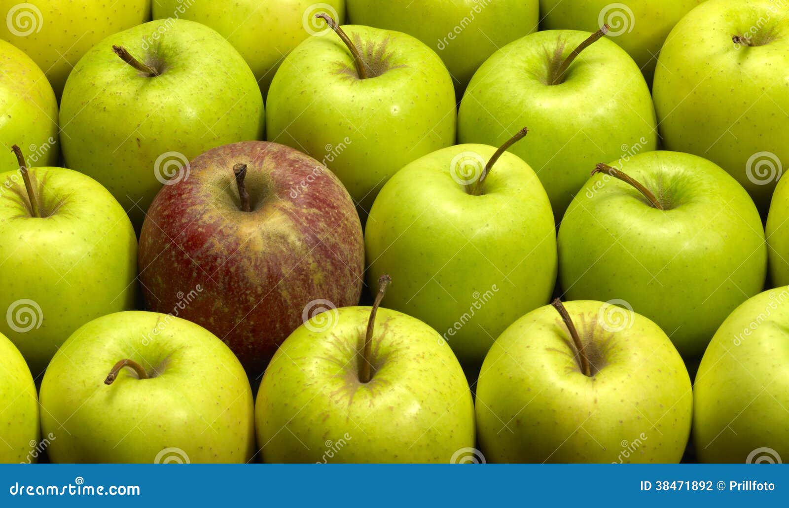 Lots of apples stock photo. Image of together, side, fresh - 38471892
