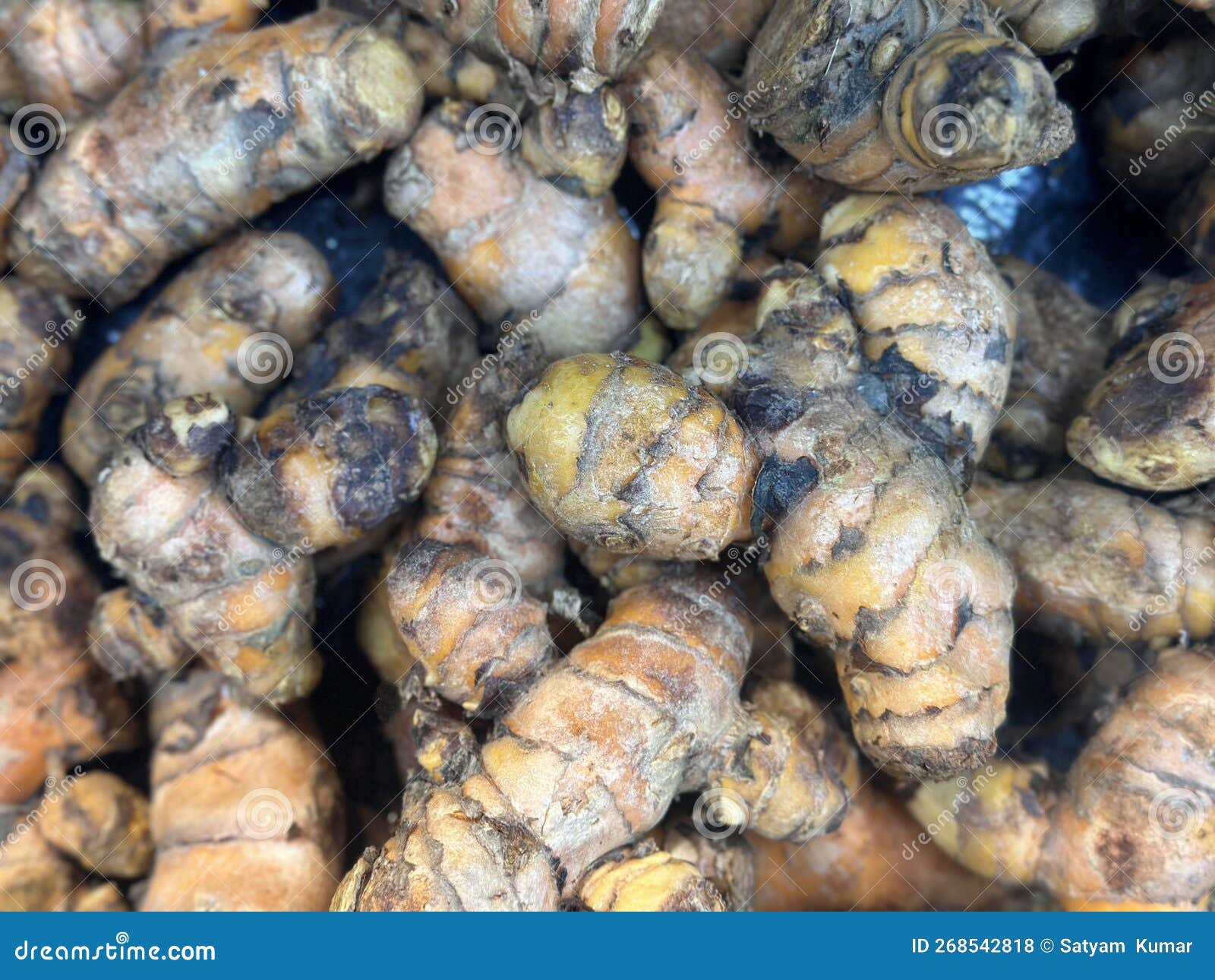 Lots Of Arbi Vegetables Together Outdoor Image Stock Photography ...