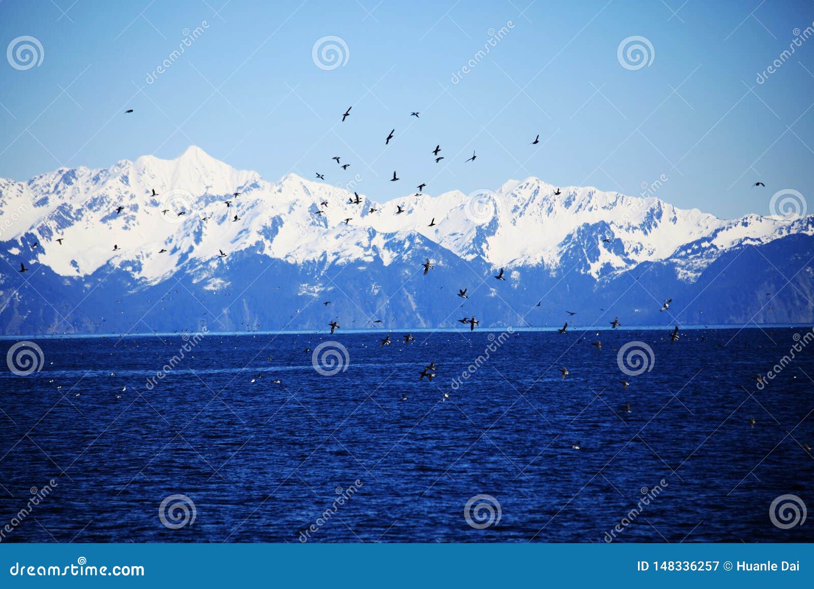 Bird, Blue Sky, Mountain, Lake Stock Image - Image of light, lake ...
