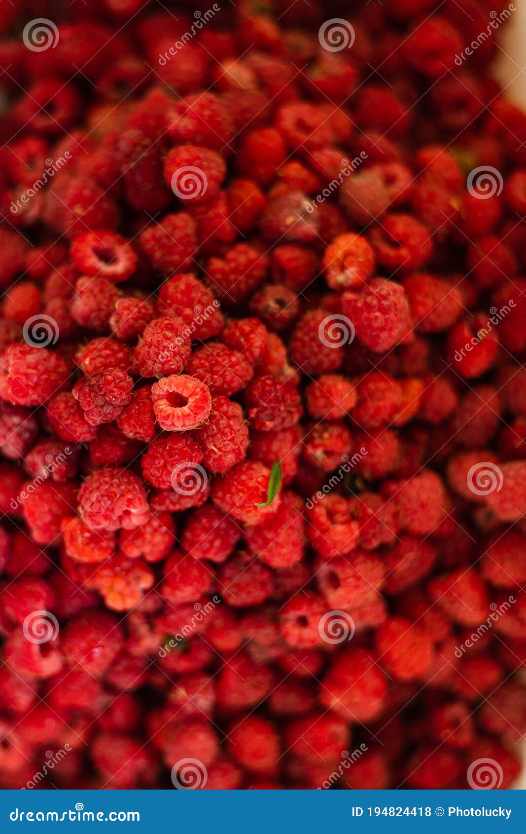 Lots of Bright Raspberries. Background, Picture for Postcard Stock ...