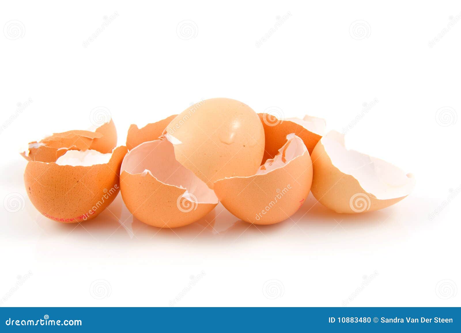 Lots of broken egg shells stock photo. Image of isolated - 10883480