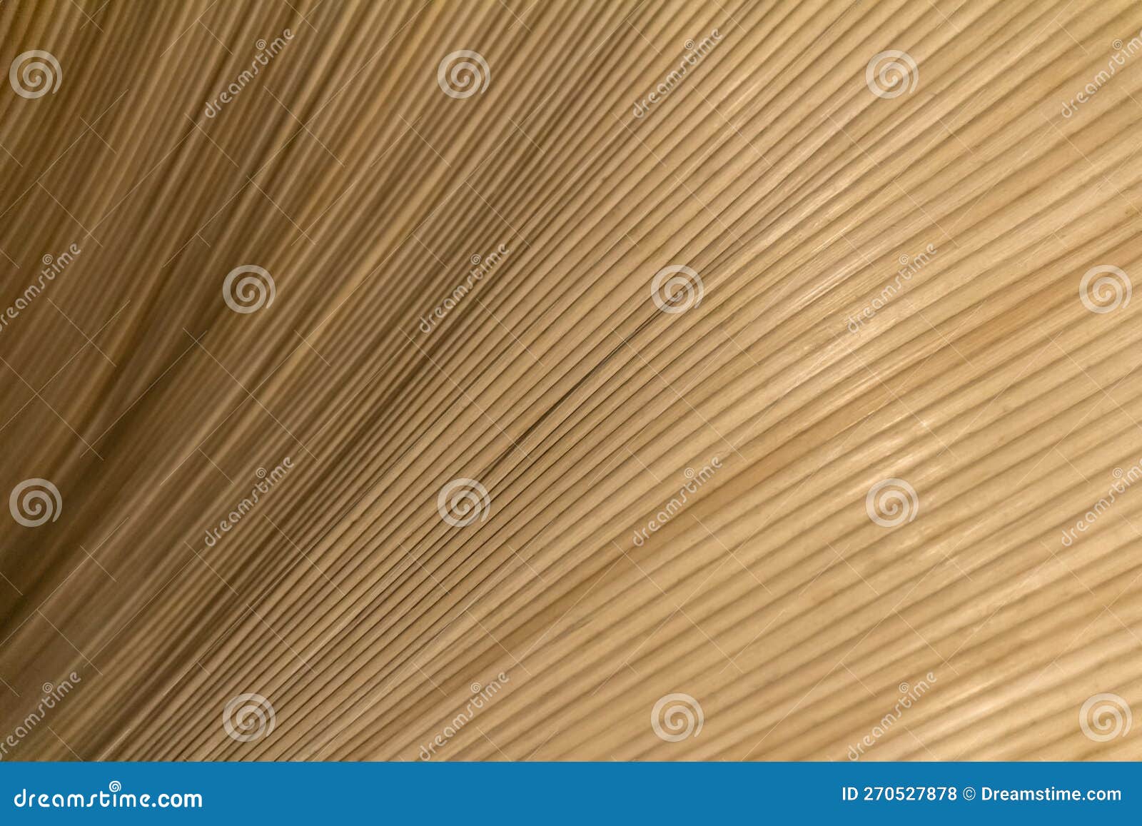 Lots of brown stipes stock photo. Image of together - 270527878