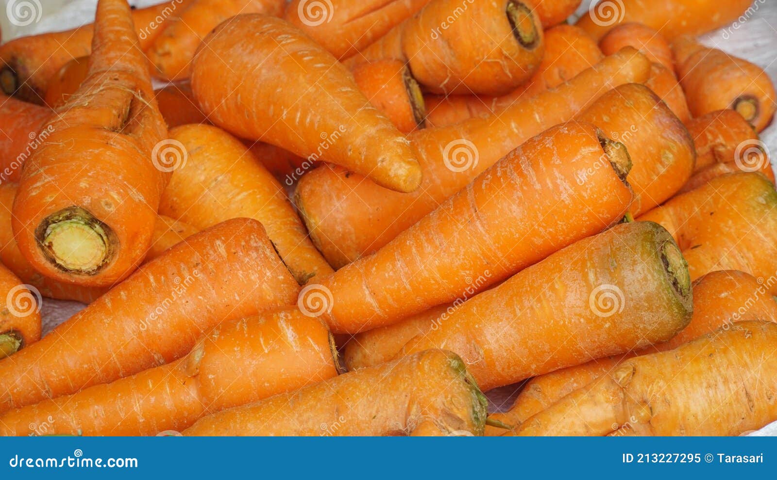 Lots of Carrots. Focus Selected Stock Image - Image of closeup ...