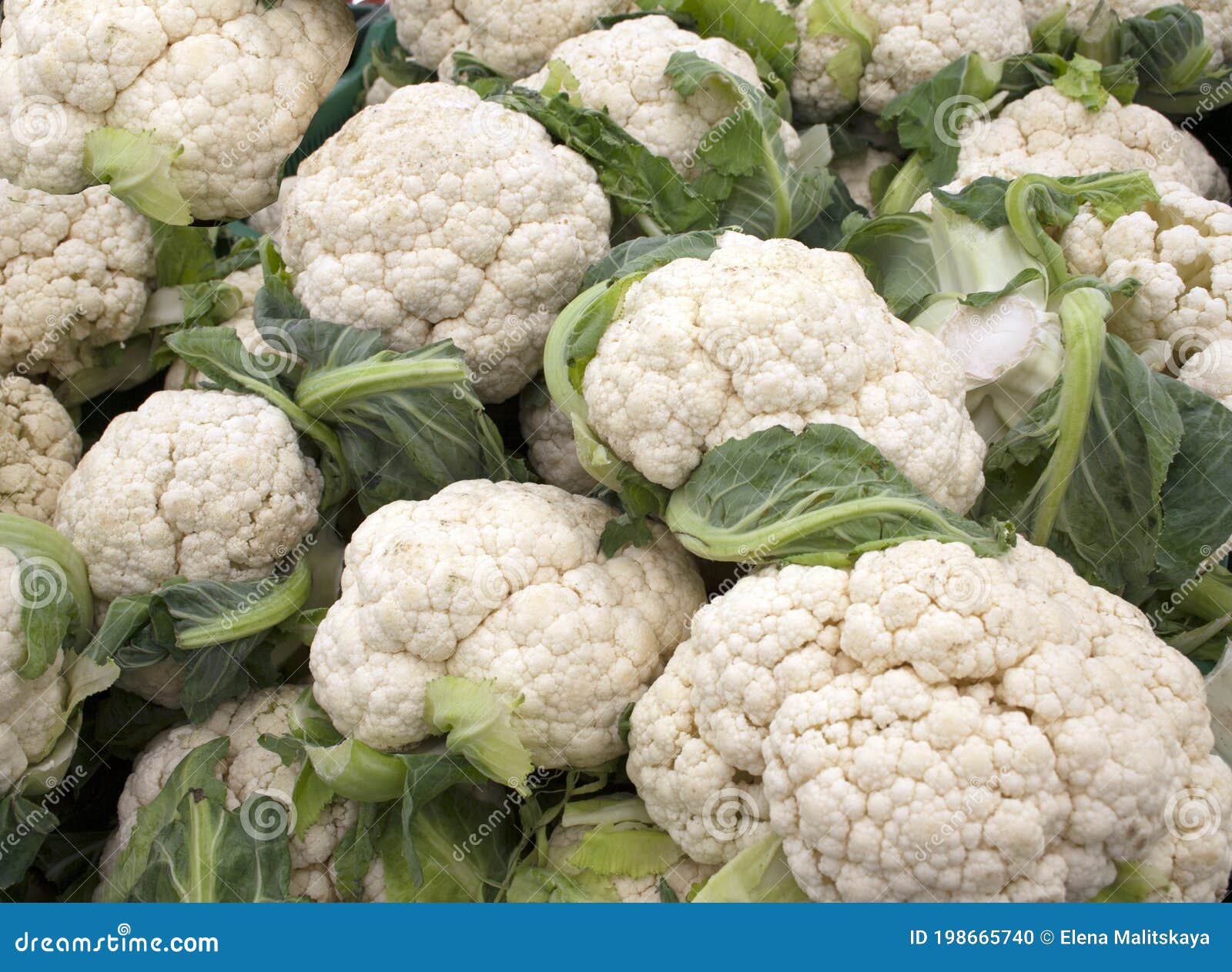 Lots of Cauliflower in the Box. Proper Nutrition, Vegetarianism Stock ...