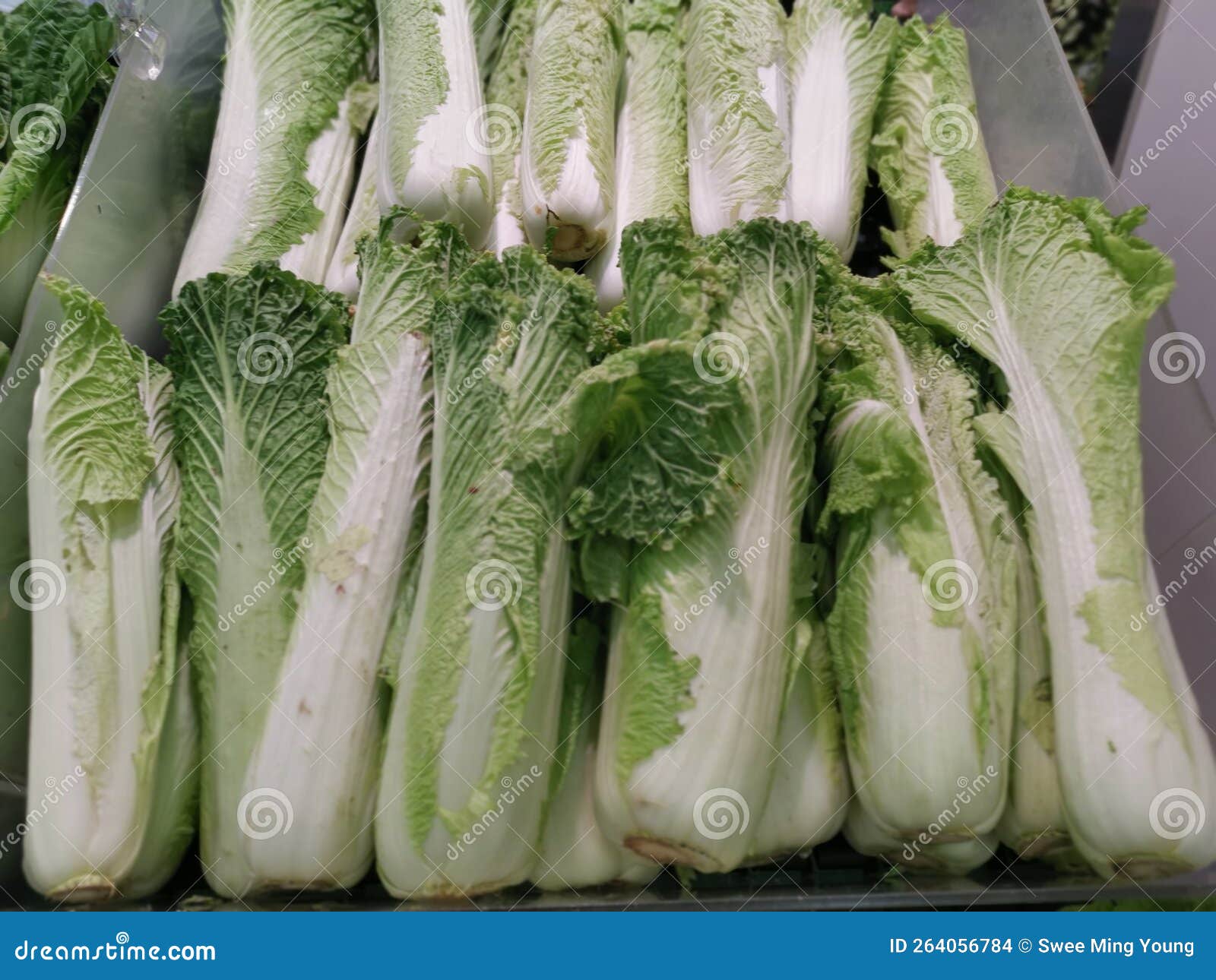 Lots of the China Long Cabbage Stock Photo - Image of market, cooking ...