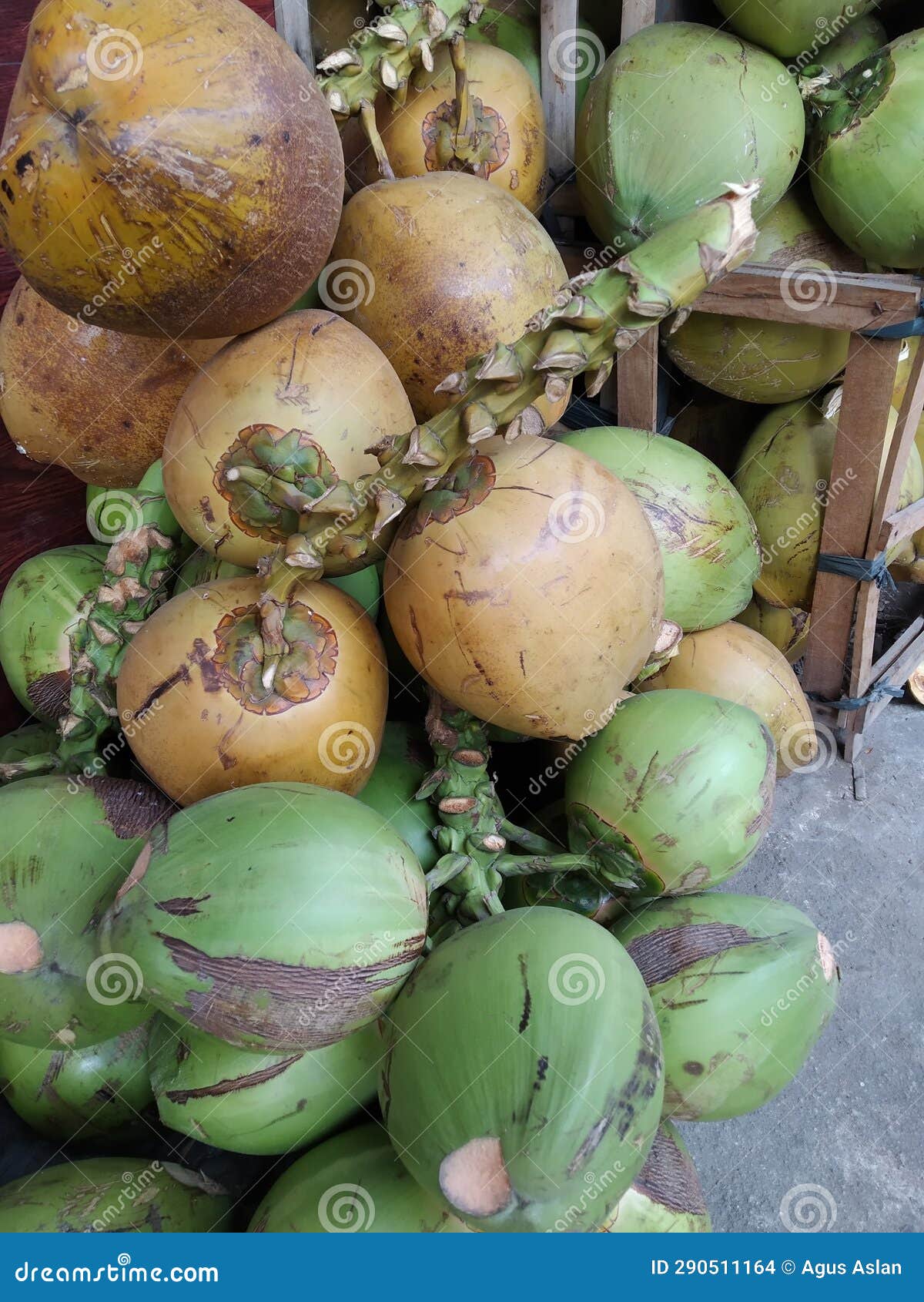 Lots of coconuts stock photo. Image of citrus, dish - 290511164