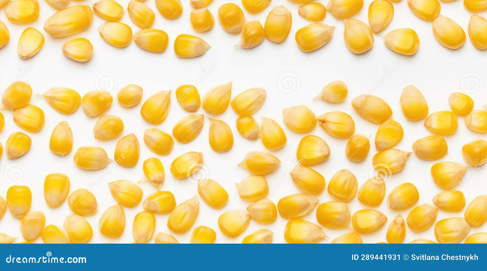 Lots of Corns or Maizes As Background Stock Illustration - Illustration ...