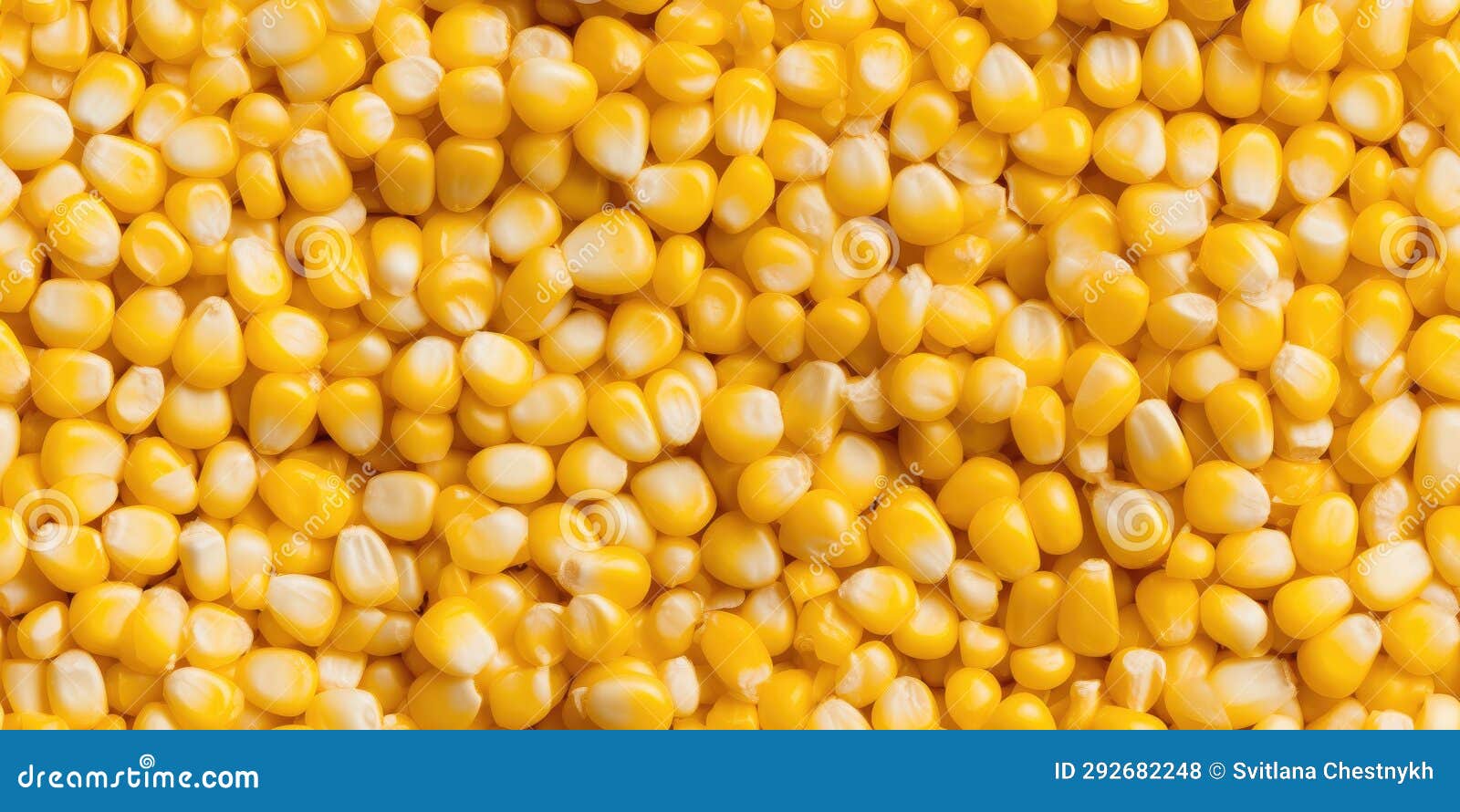 Lots of Corns or Maizes As Background Stock Photo - Image of groans ...