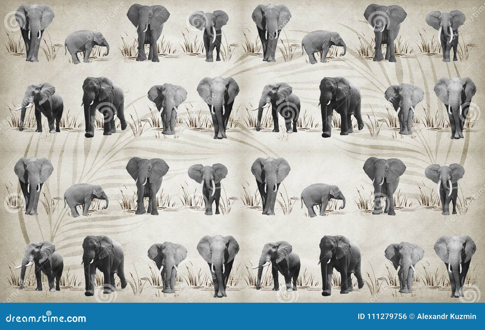 Set Of Elephants In Different Angles And Emotions In Cartoon Style ...