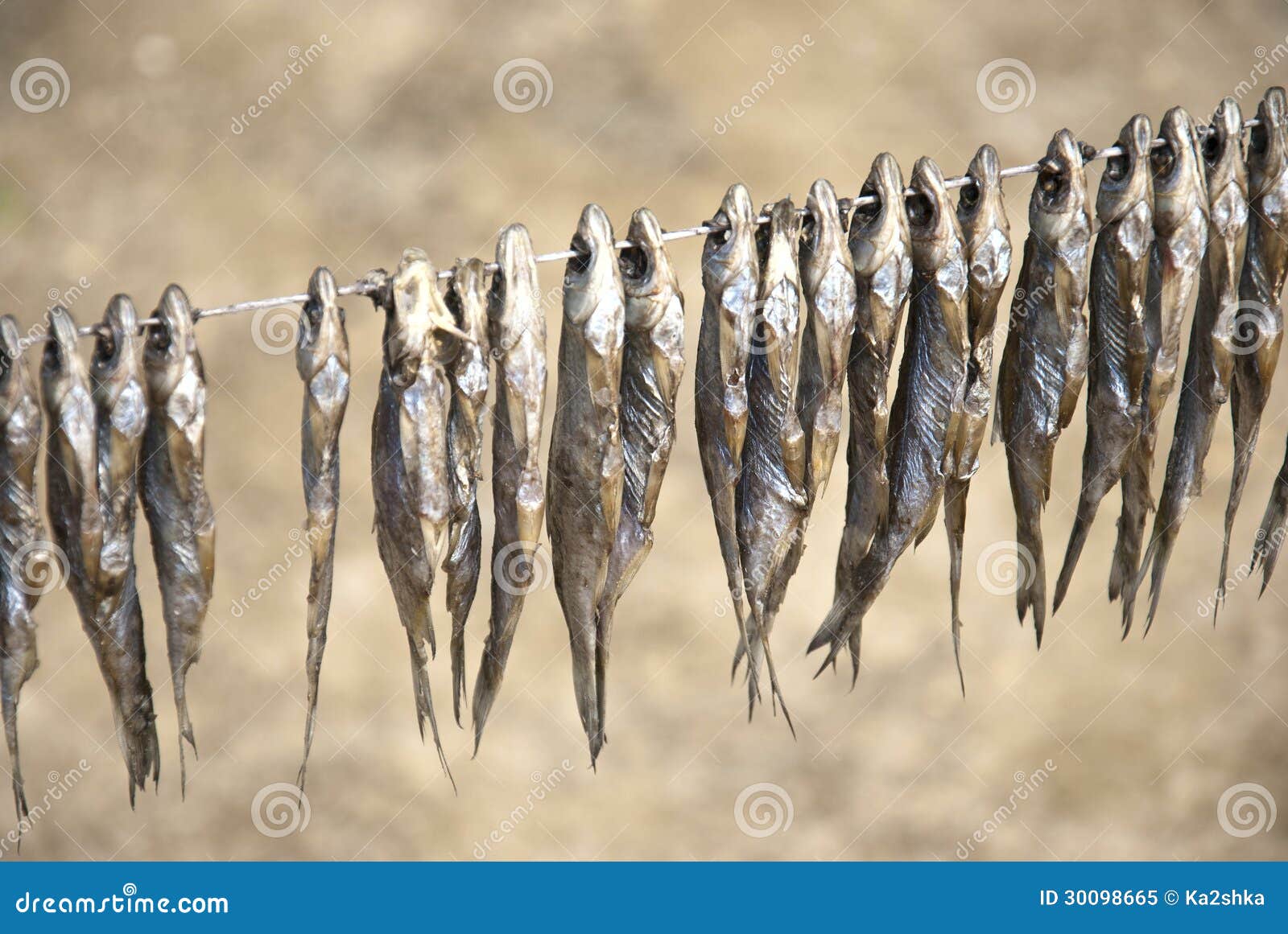 Stockfish stock image. Image of animal, culture, industry - 30098665