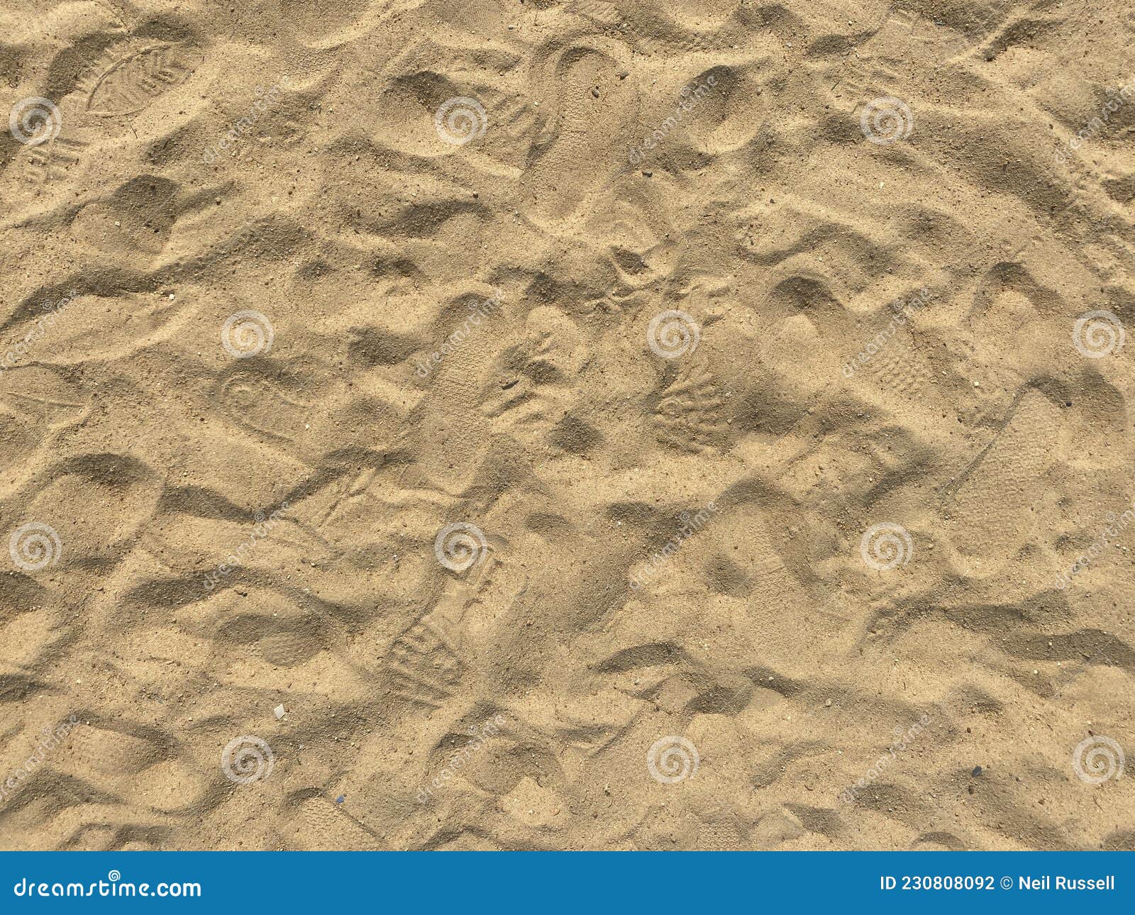 Footmarks in Beach Sand stock photo. Image of beach - 230808092