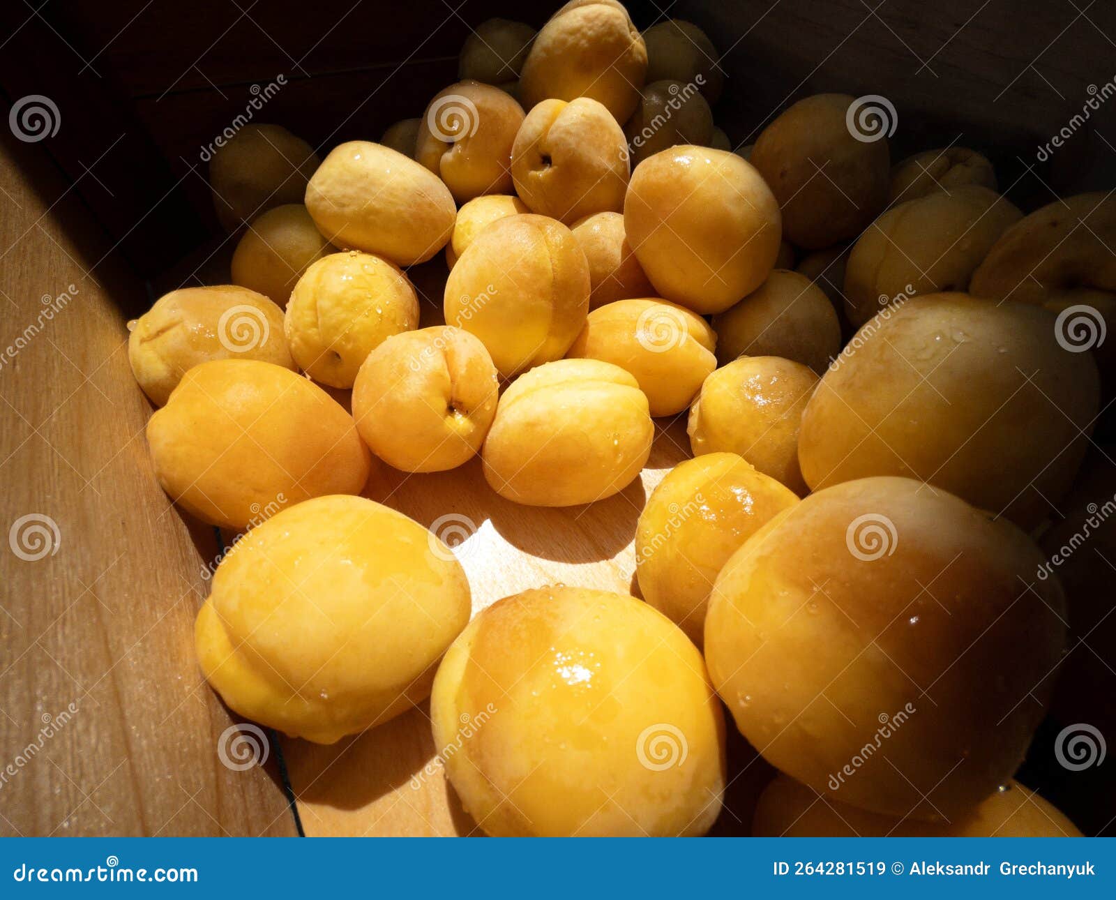 Lots of Fresh Apricots in a Box Close-up Stock Image - Image of close ...