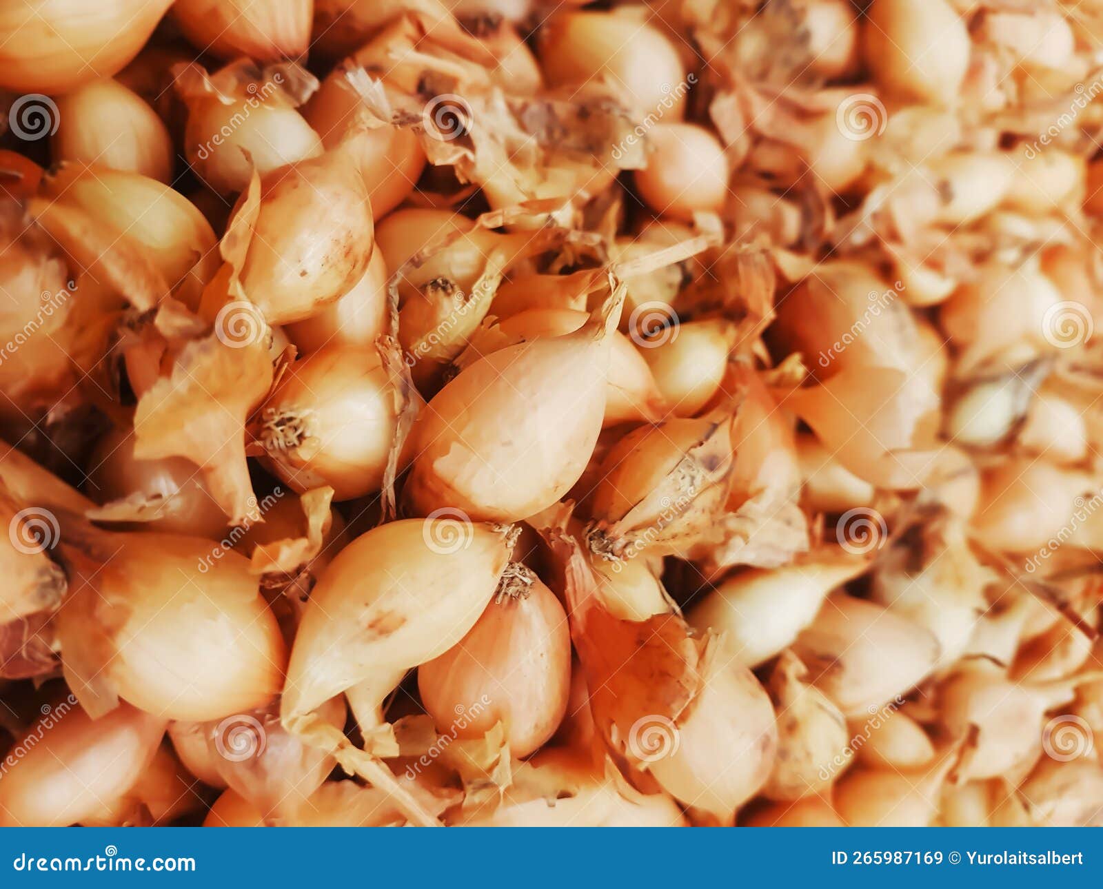 Lots of Fresh Onions on the Counter in the Store Stock Image - Image of ...