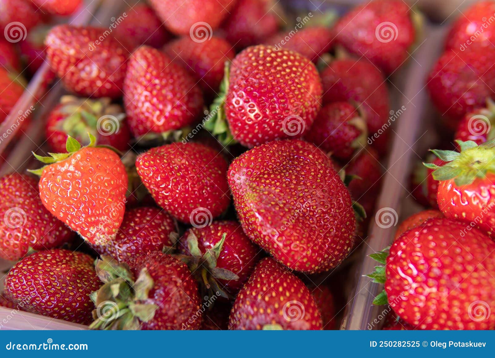 Lots of Fresh Strawberries Sold in the Market Stock Image - Image of ...