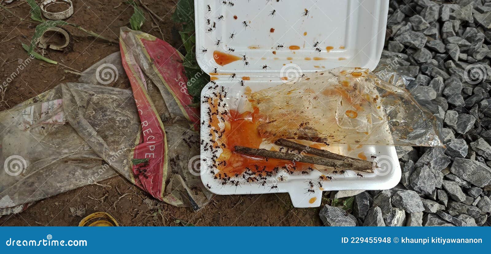 Lots of garbage and ants stock photo. Image of citarum - 229455948