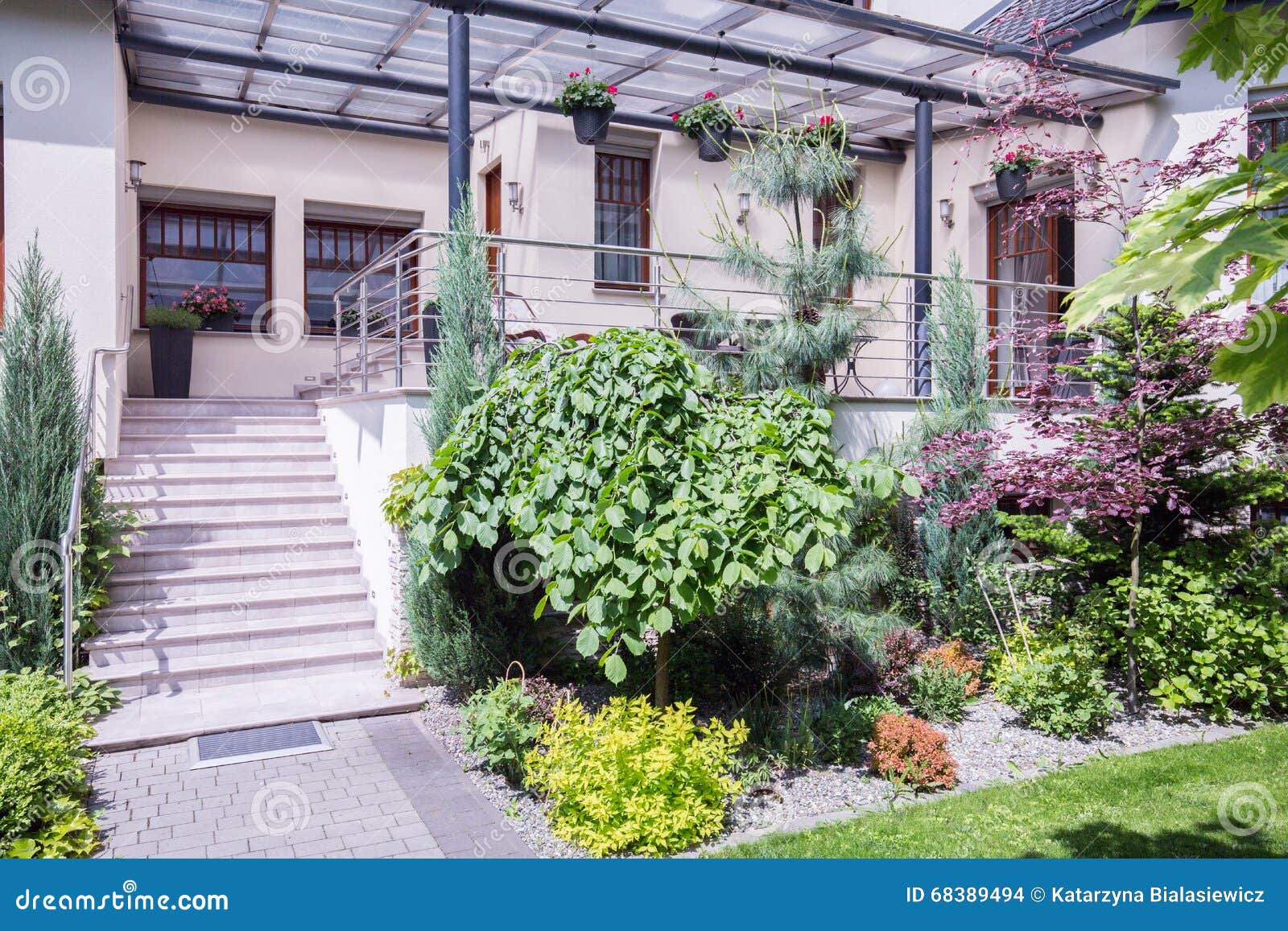 Lots of greenery stock photo. Image of shrub, contemporary - 68389494