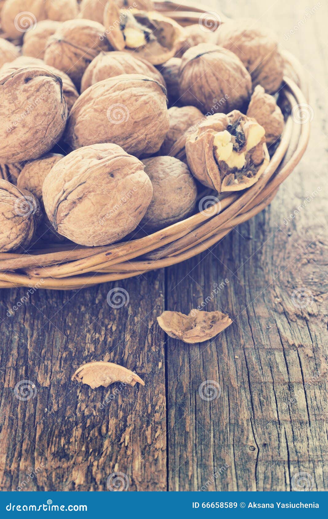 Lots of Healthy Walnuts in Shells Stock Image - Image of autumn, fresh ...
