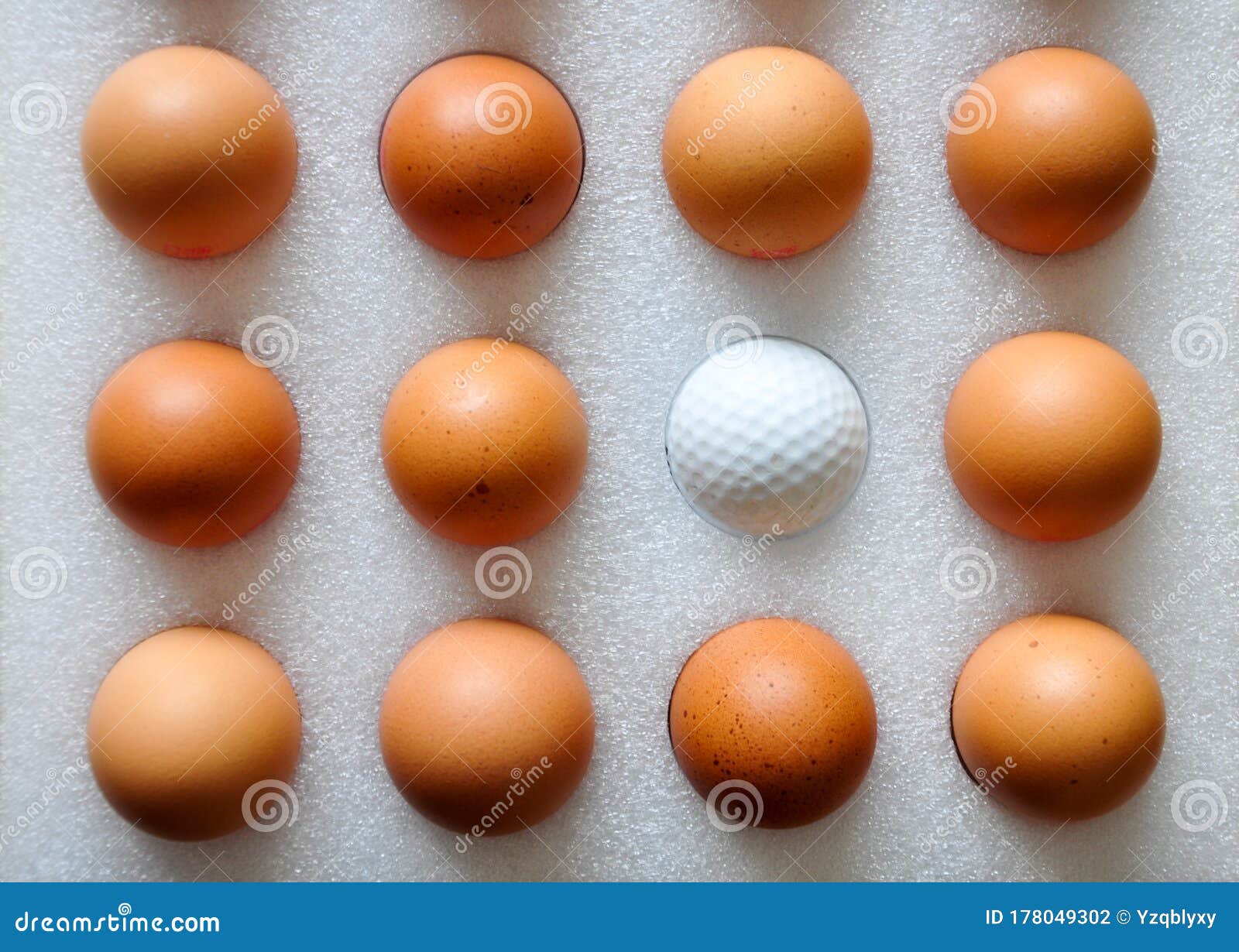 Fresh eggs and Golf ball stock photo. Image of chick - 178049302