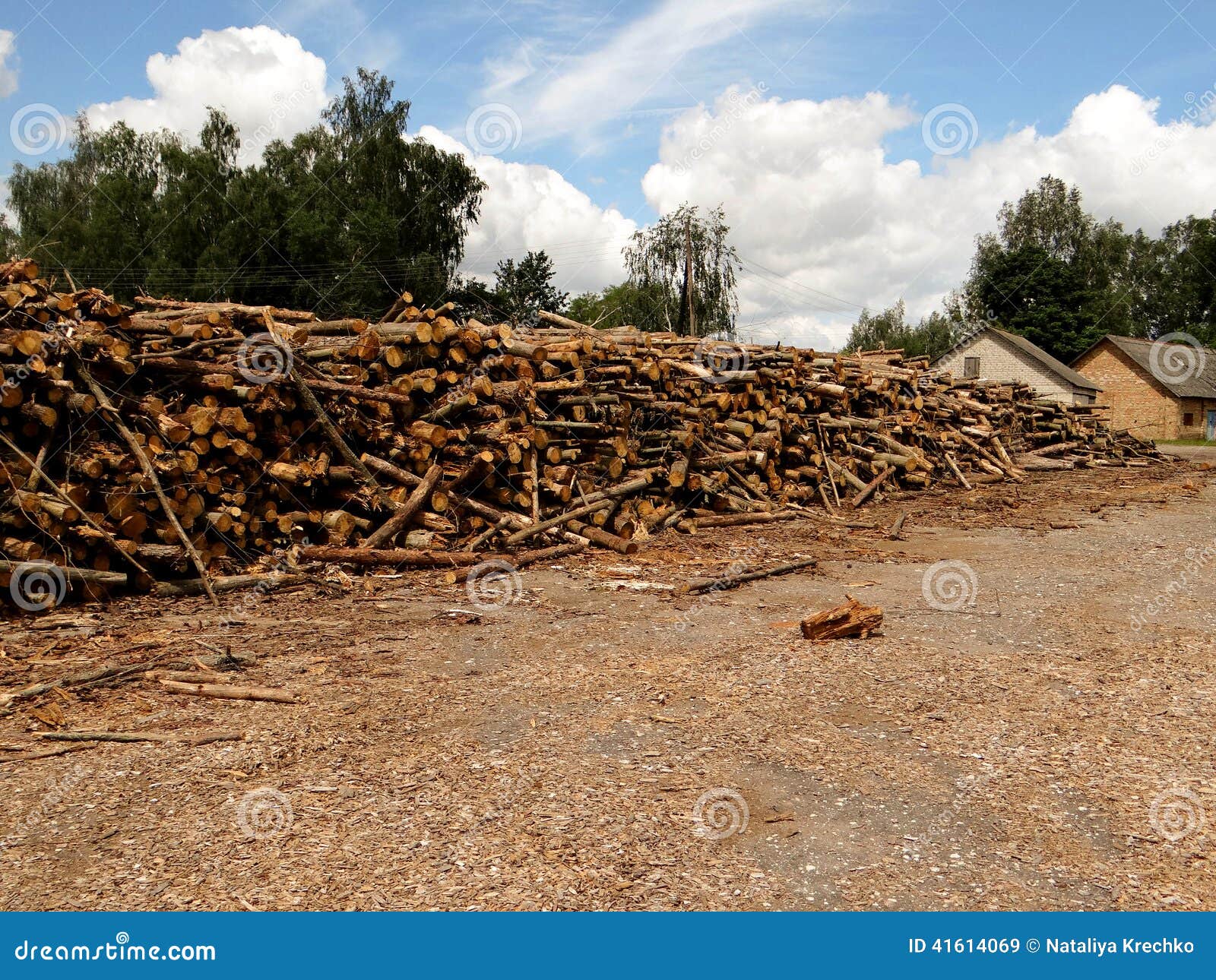 Lots of Logs Lie Timber Logging Stock Image - Image of industry, bunch ...