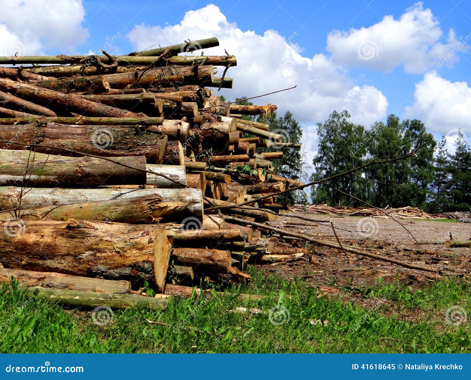 Lots of Logs Lie Timber Logging Stock Image - Image of construction ...