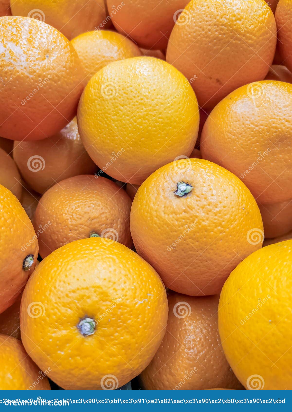 Lots of Oranges . Background Oranges . Fruit on the Counter of the ...