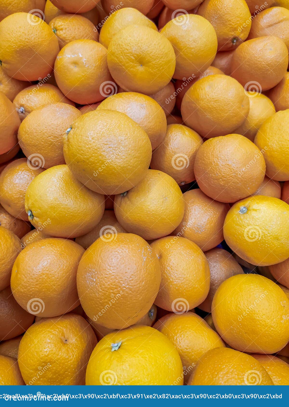 Lots of Oranges . Background Oranges . Fruit on the Counter of the ...