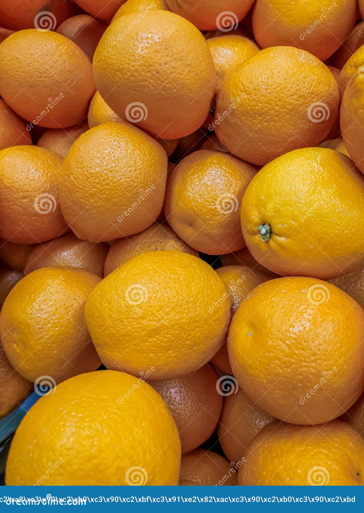 Lots of Oranges . Background Oranges . Fruit on the Counter of the ...