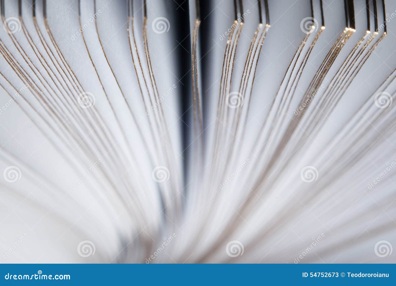 Lots of pages stock image. Image of entertainment, book - 54752673