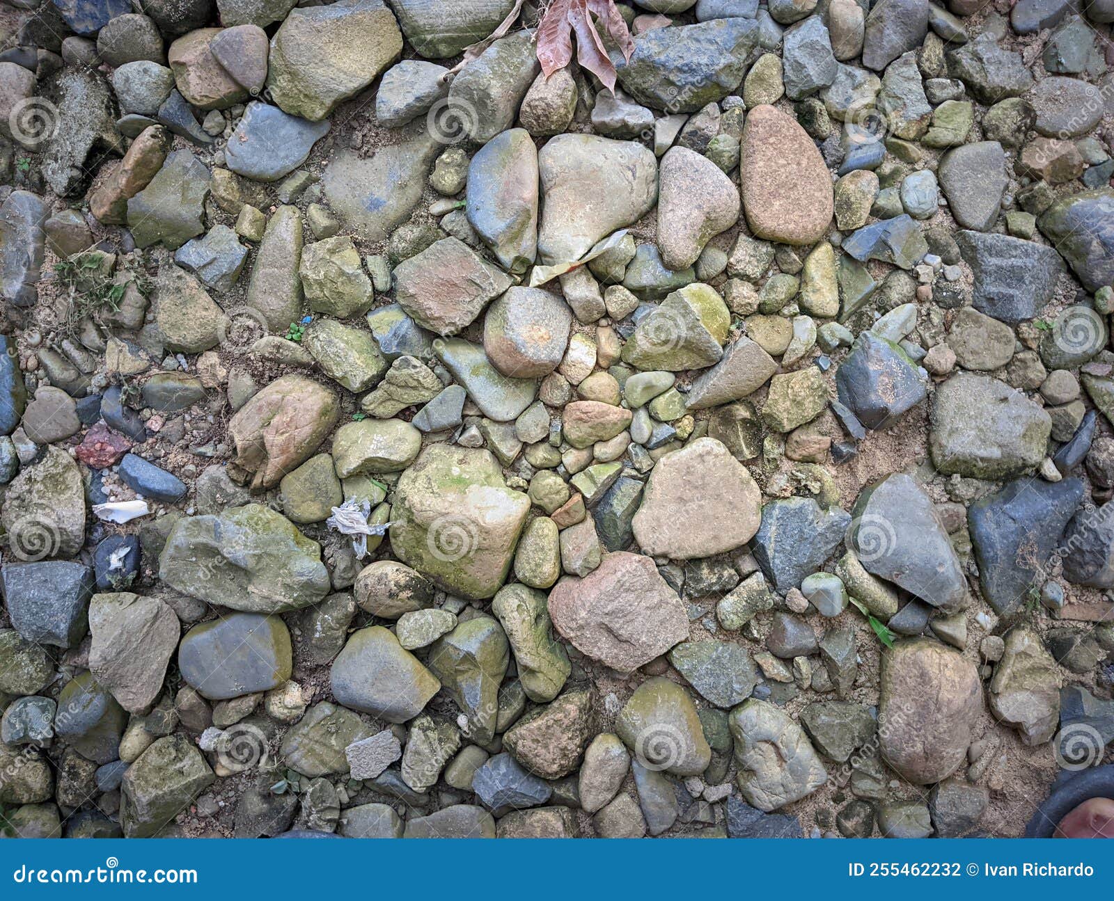 Lots of pebbles stock photo. Image of asphalt, brick - 255462232