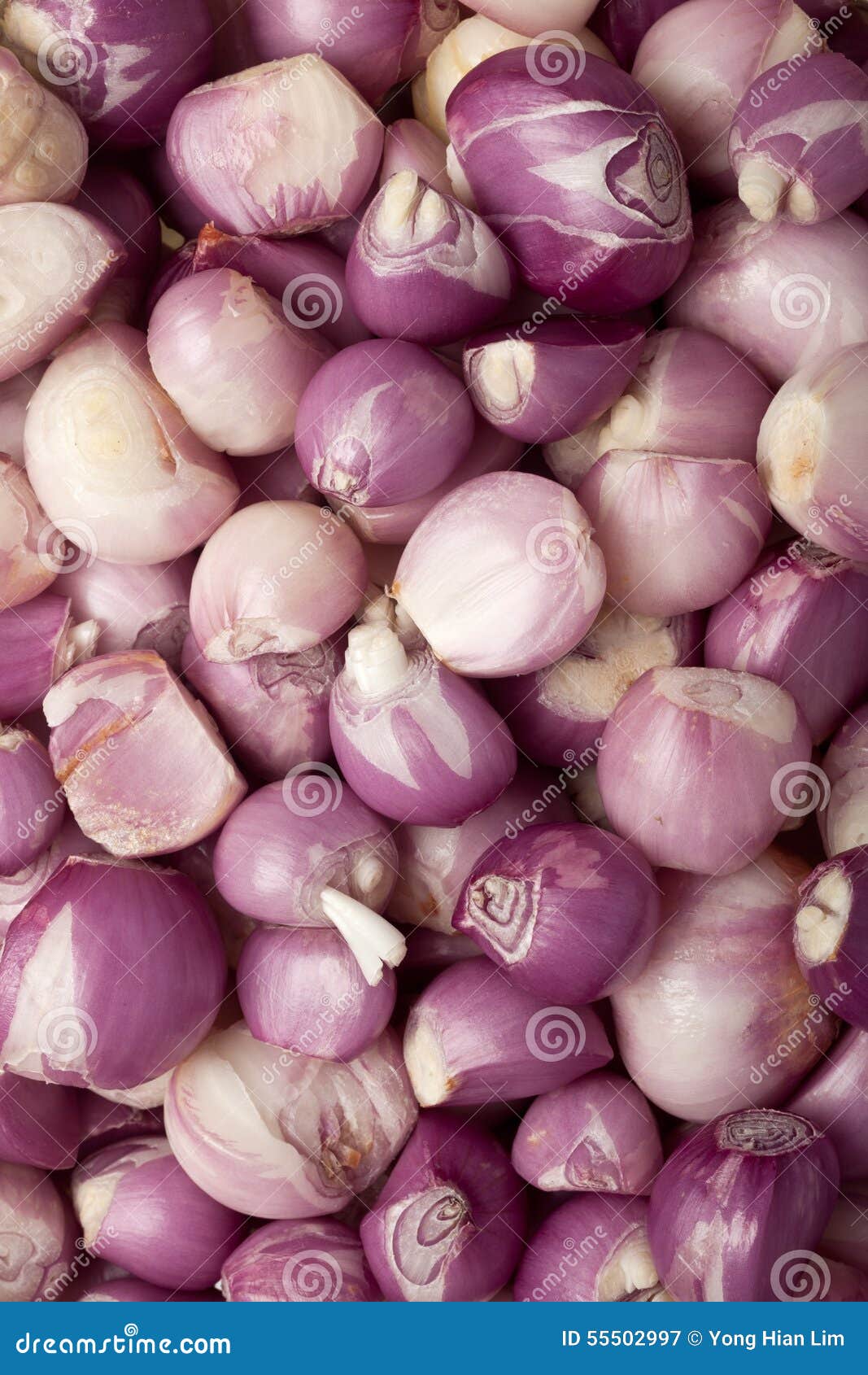 Lots of peeled shallots stock image. Image of fresh, closeup - 55502997