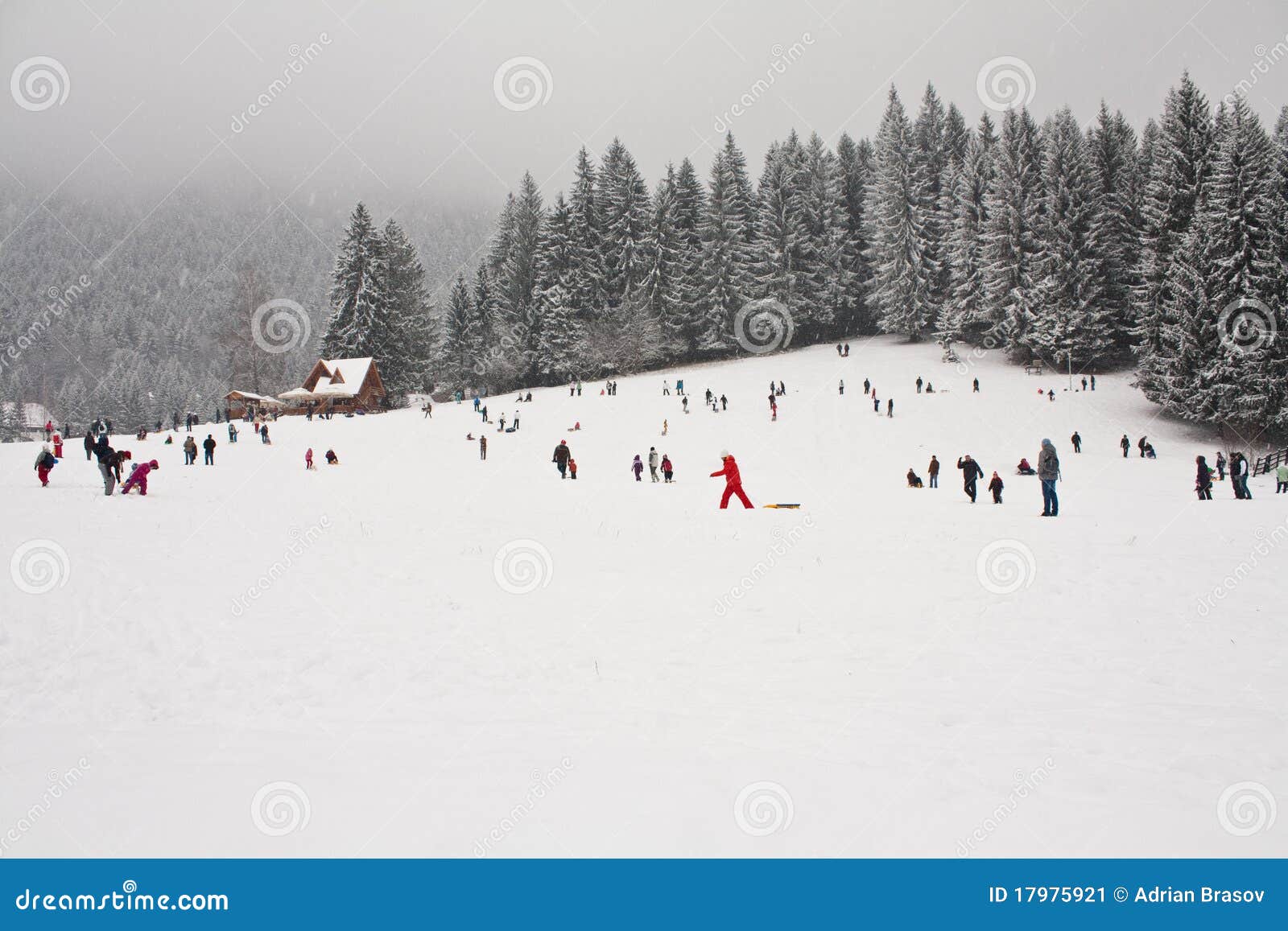 Lots of People Having Fun in Snow Stock Image - Image of lots, cold ...