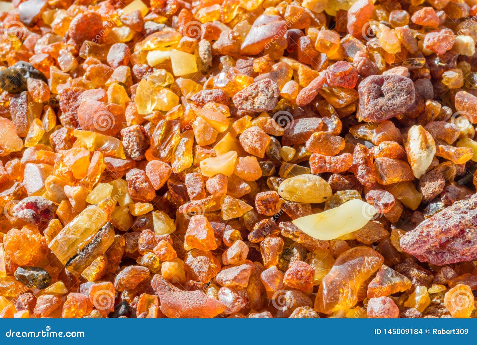 Lots of Pieces of Natural Amber from Baltic Sea Stock Photo - Image of ...