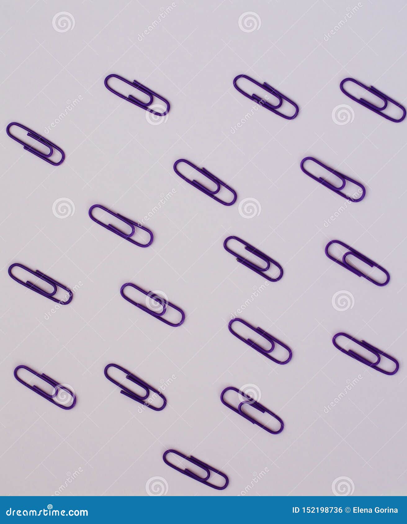 Lots of Purple Paper Clips on Colored Paper Stock Photo - Image of ...