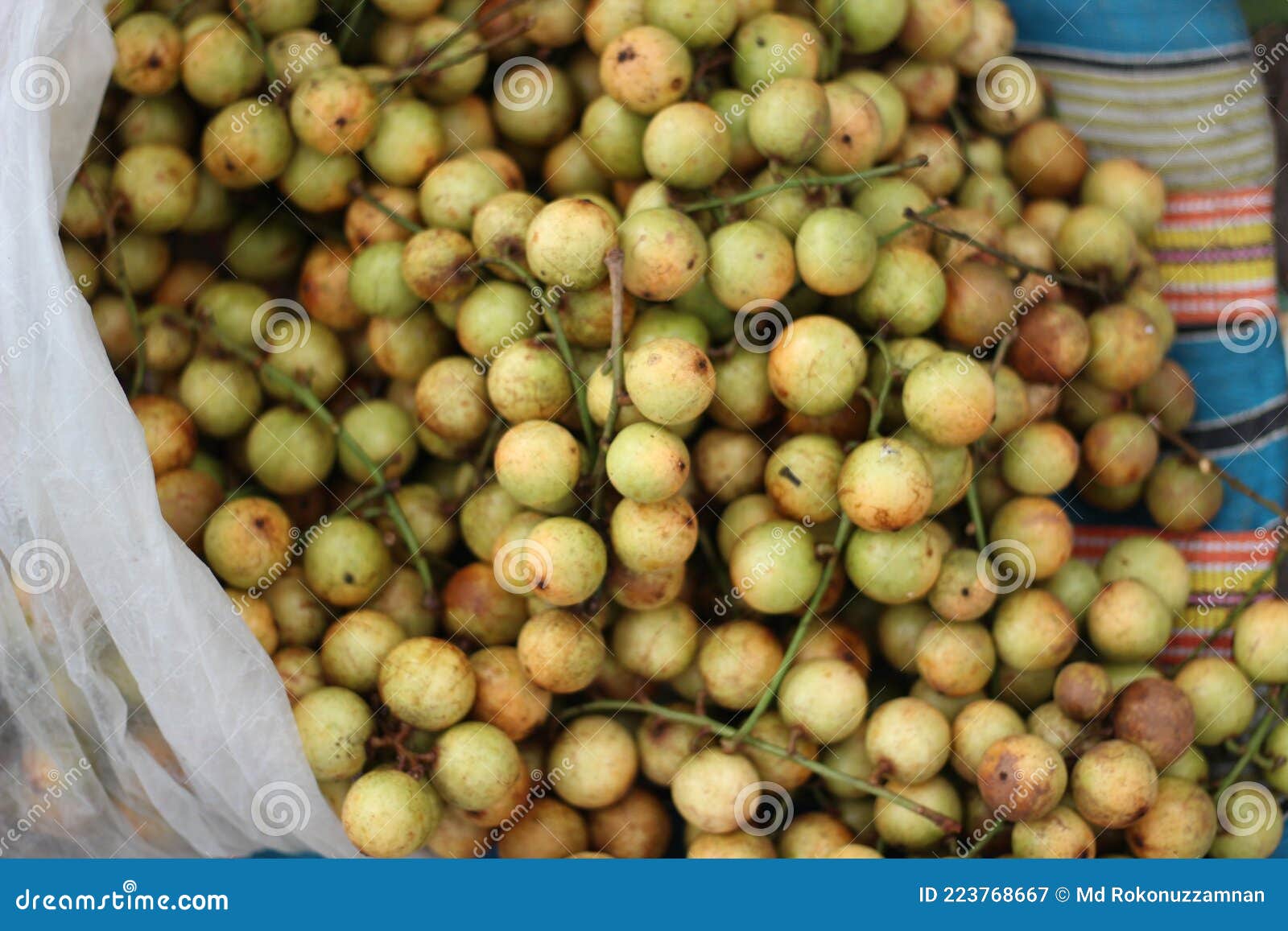 Rambai Fruit Royalty-Free Stock Image | CartoonDealer.com #42880768