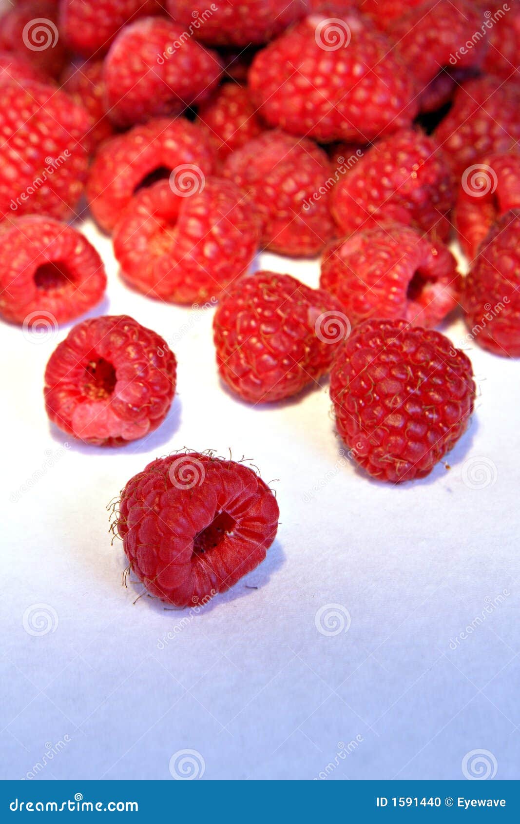 Lots of raspberries stock photo. Image of food, raspberry - 1591440