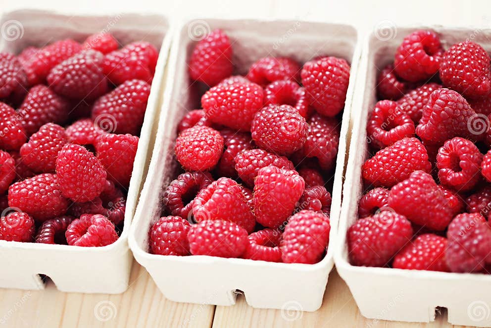 Lots of raspberries stock image. Image of juice, raspberries - 26960597
