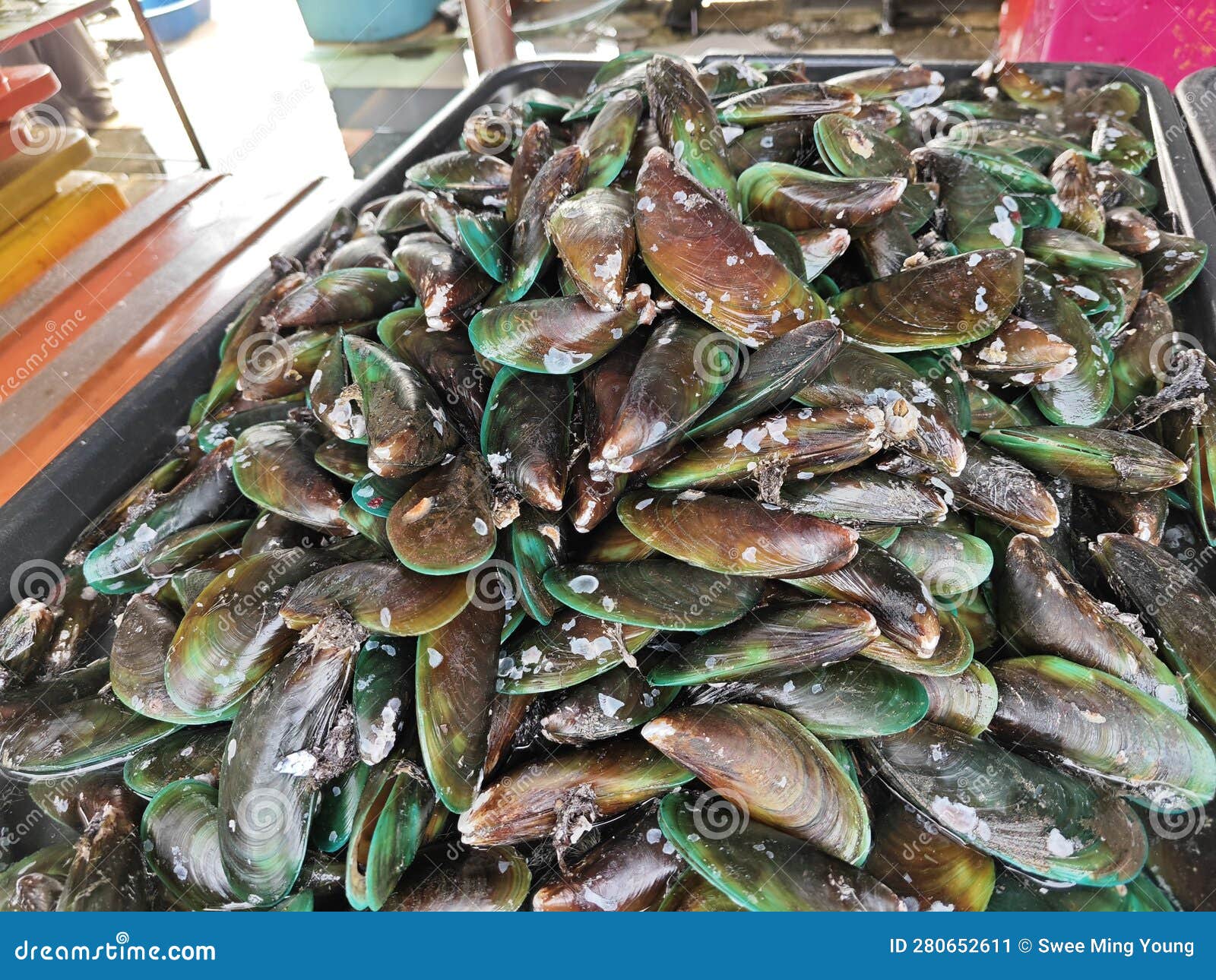 Lots of Raw Fresh Black Mussel Clams Stock Image - Image of black ...