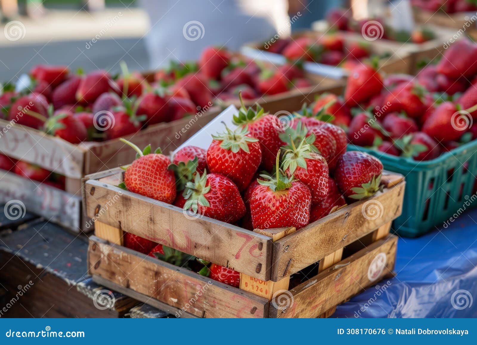 Lots of Red Juicy Fresh Strawberry Stock Photo - Image of berries ...