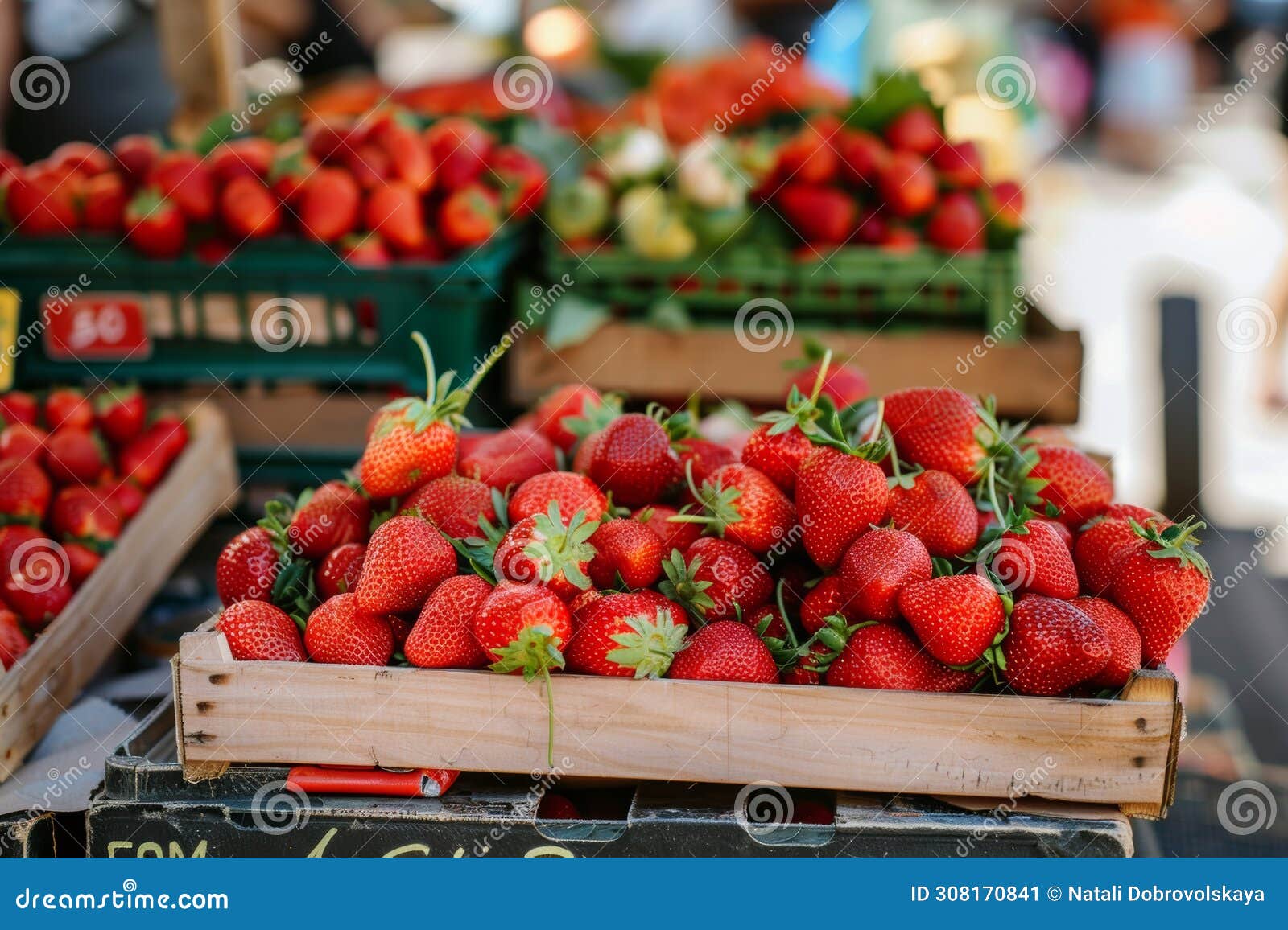 Lots of Red Juicy Fresh Strawberry Stock Image - Image of vibrant ...