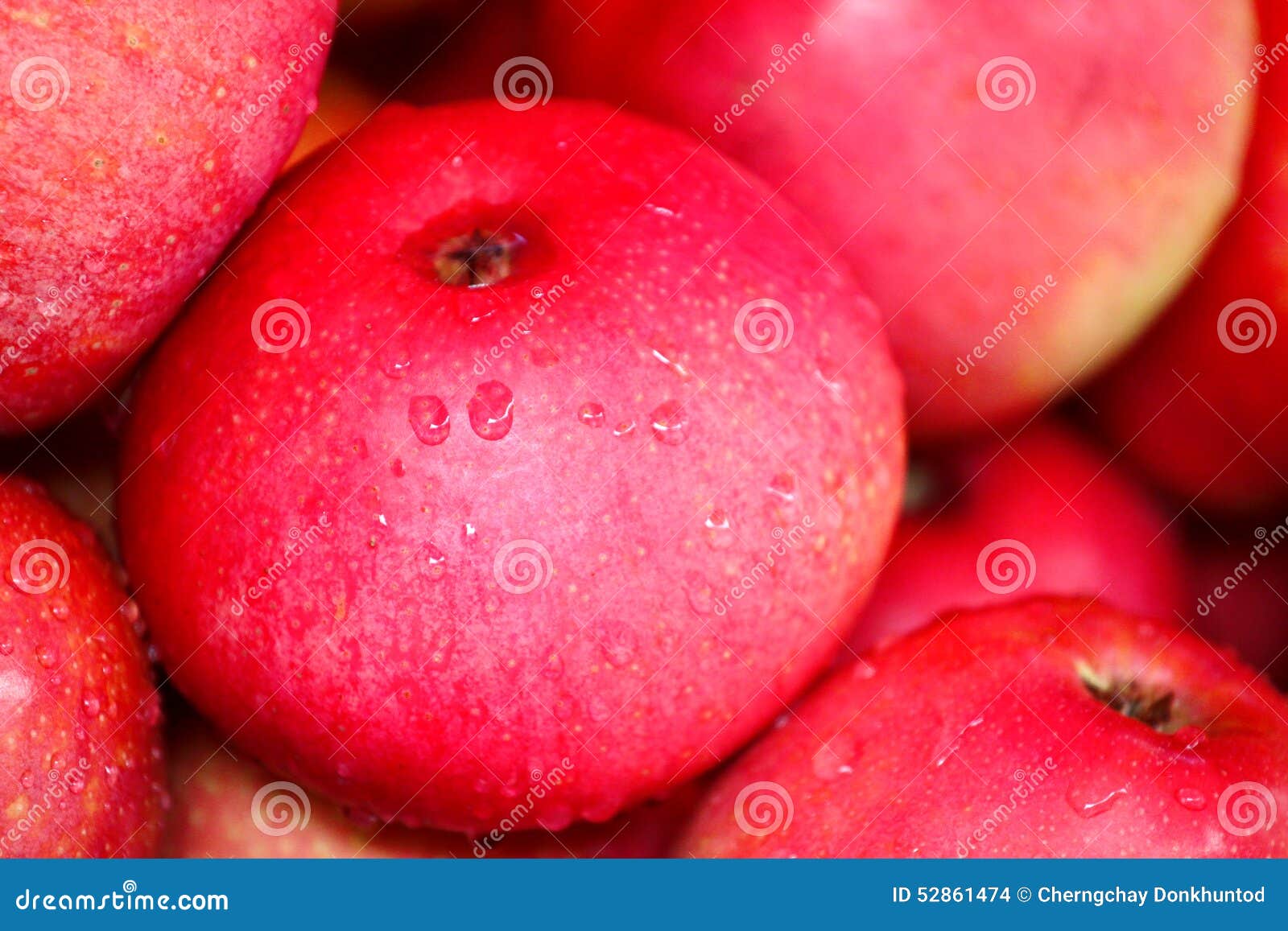 Lots of Red Ripe Apple with Drop Stock Photo - Image of large, isolated ...