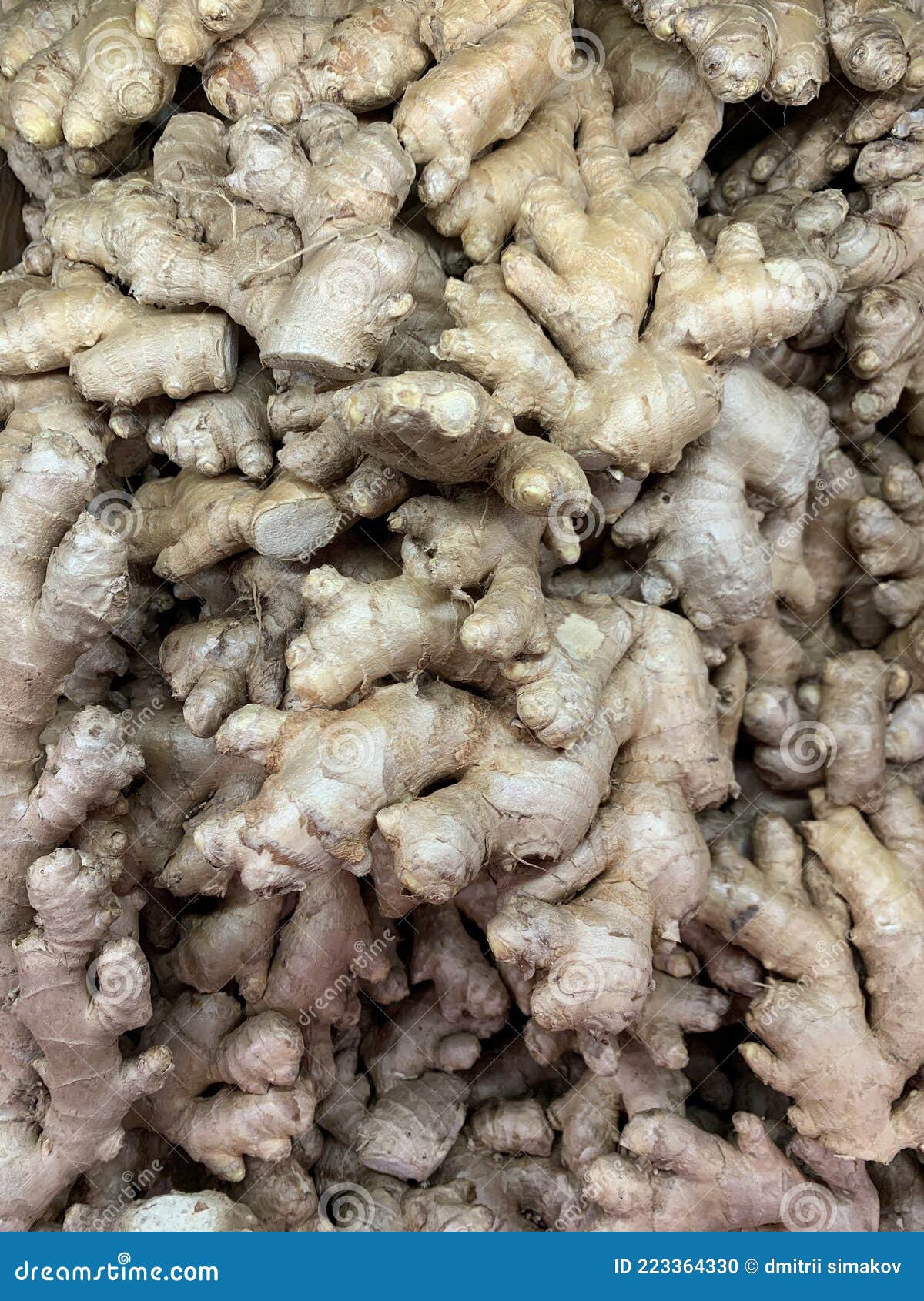 Lots of Ginger Root for Eating As a Background Stock Photo - Image of ...