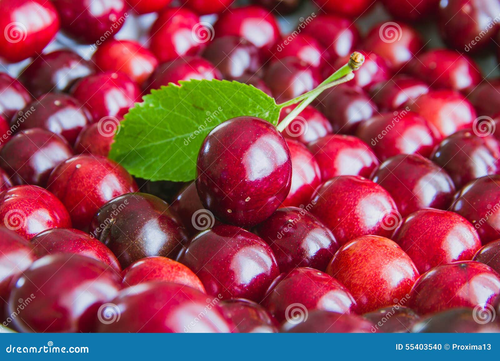 Lots of Ripe Red Cherry Selection Stock Photo - Image of delicious ...
