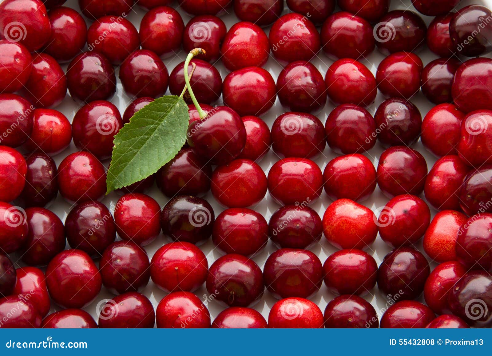 Lots of Ripe Red Cherry Selection Stock Photo - Image of crab, cute ...