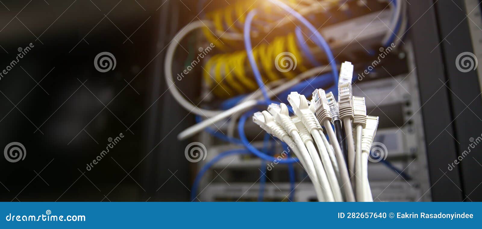 Lots Of Network Cables And RJ45 Head UTP LAN Cable Signal Ethernet For ...