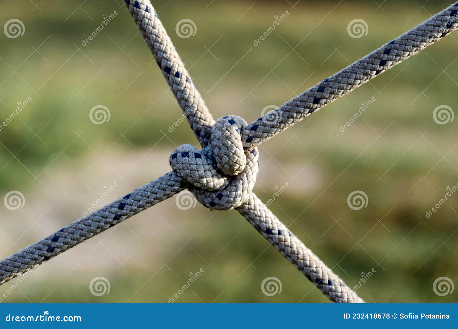Lots of Ropes and a Big Knot Stock Photo - Image of isolated ...