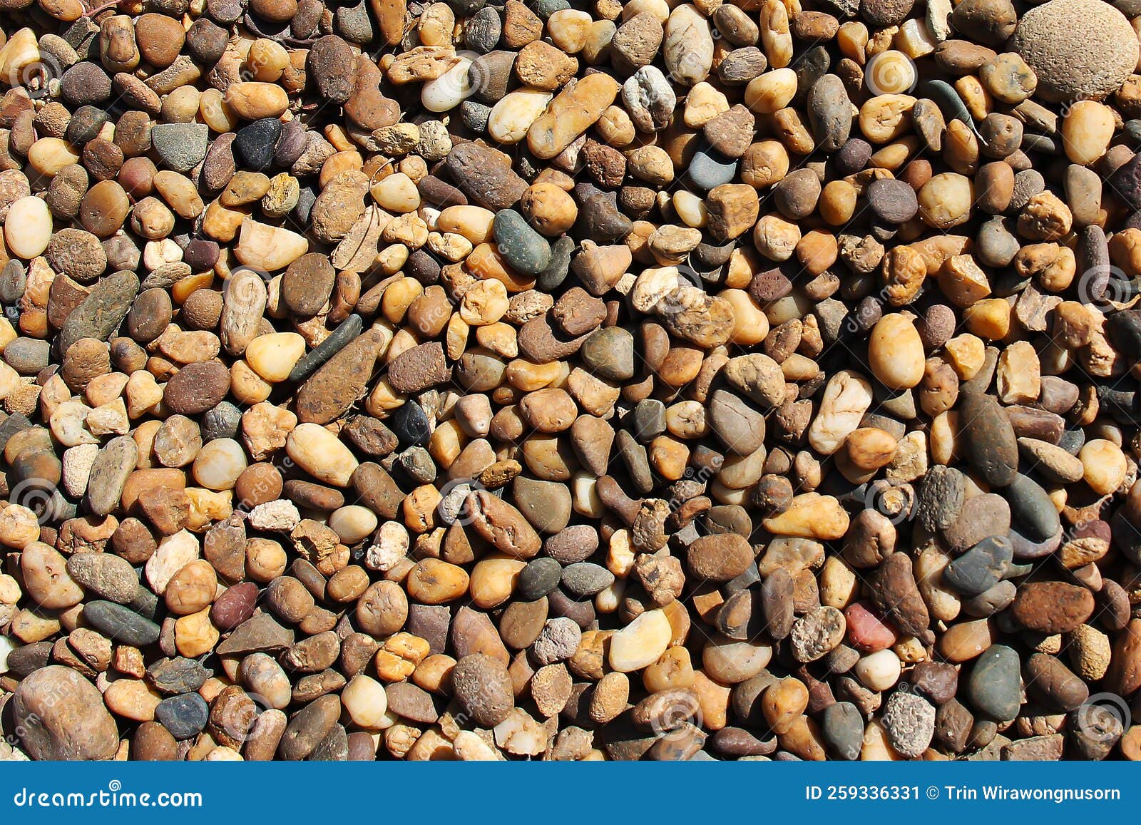 Lots of Small Beautiful Stones on the Ground Stock Image - Image of ...