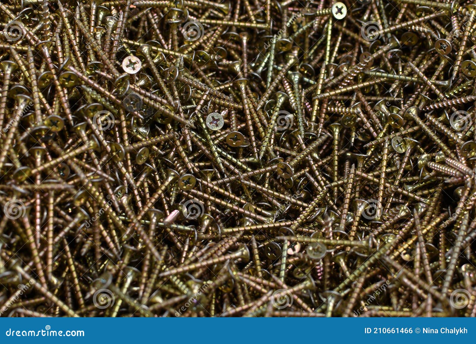 Lots of Small Gold-colored Brass Screws. Close-up. Texture. Background ...